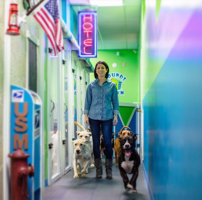 Hounds Town Dog Daycare Franchise Investment Cost | Hounds Town USA