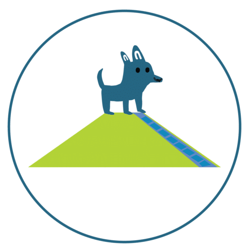 Start a Dog Daycare Franchise | Hounds Town USA Opportunities